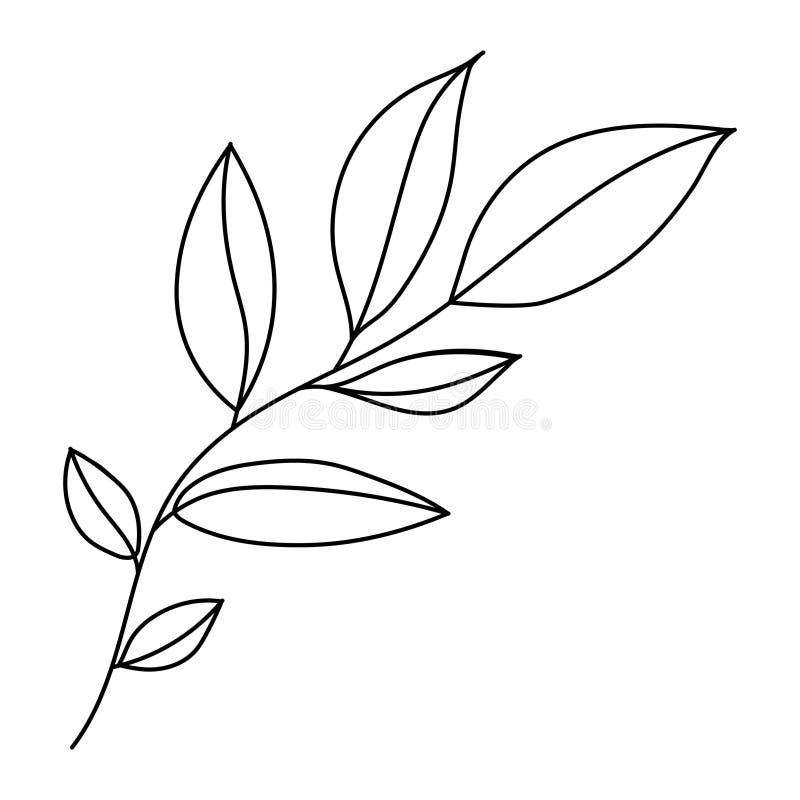 Black Sketch of Leaves Branch. Outline Leaf Stock Illustration ...