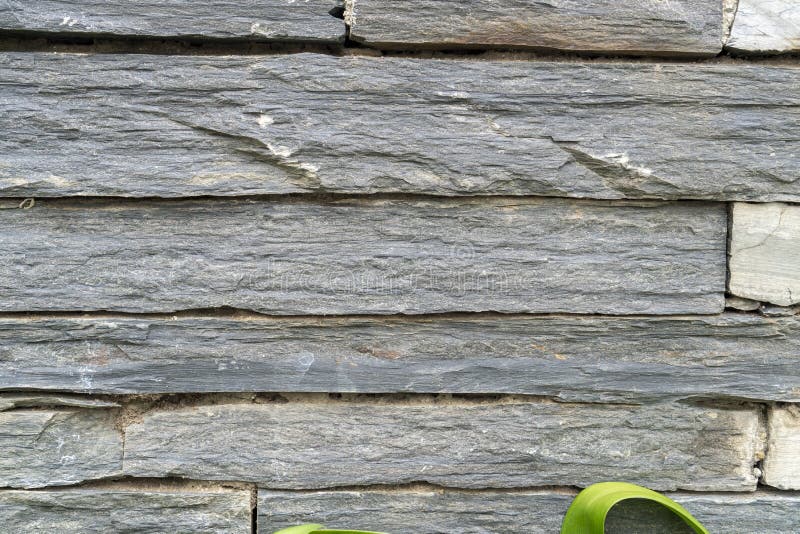 Black Slate Block Wall Texture. Background Close Up with Green Foliage ...
