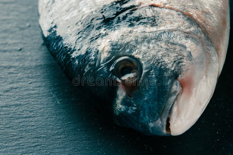Clean Raw Fish Head on Dark Surface Stock Photo - Image of product ...