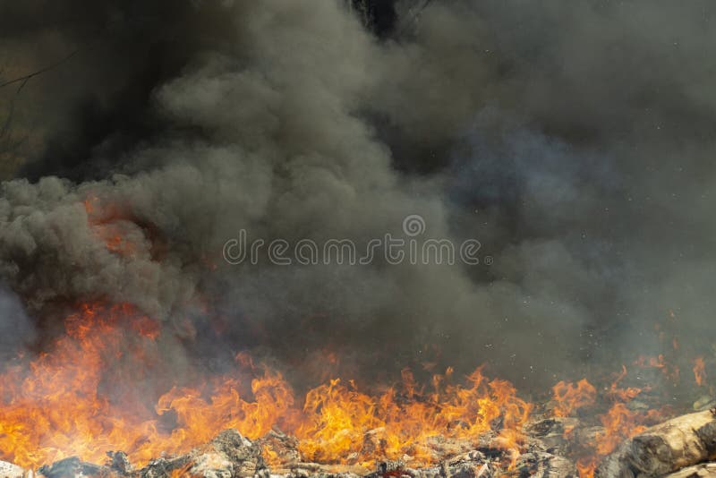Black Smoke and Fire. Fire in Forest Stock Photo - Image of disaster ...