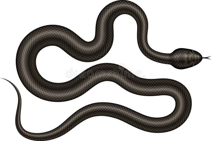 Black Snake Vector Illustration. Stock Vector - Illustration of animal ...