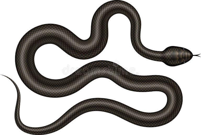 Black Serpent Stock Illustrations – 18,609 Black Serpent Stock ...