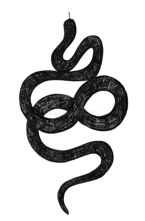 Couple Snake Black and White Ink Hand Drawing Isolated on White ...