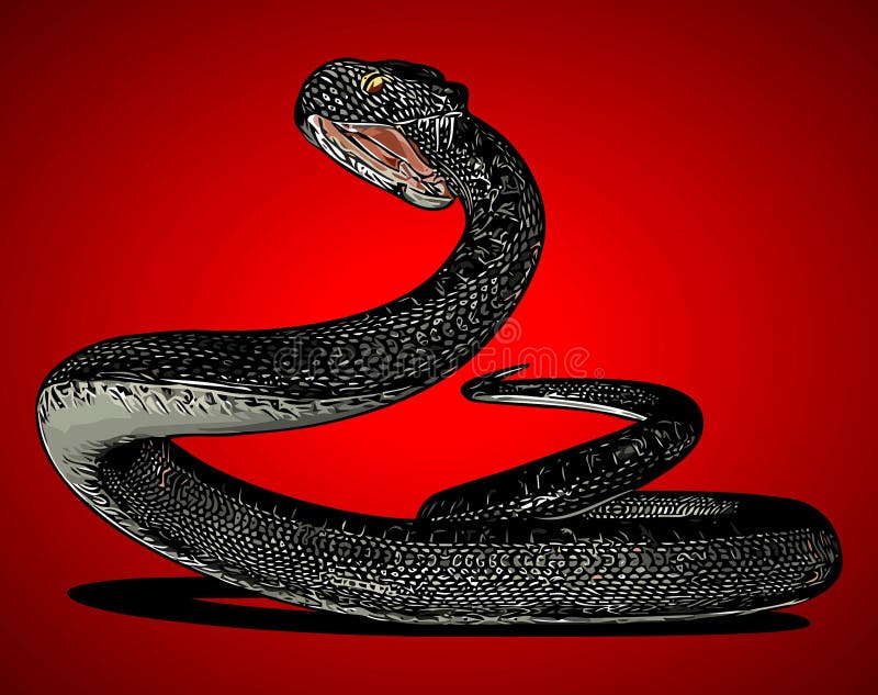 Black Snake that Will Attack Stock Vector - Illustration of black ...