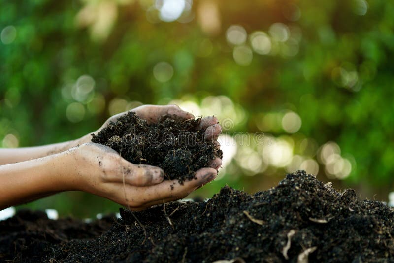 Black soil in hand stock photo. Image of earth, life - 73599334