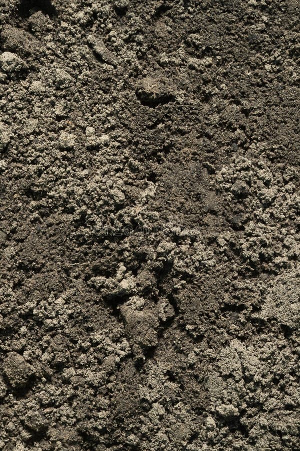 Black Dark Soil Dirt Background Texture, Natural Pattern. Flat Top View Stock Photo - Image of ...
