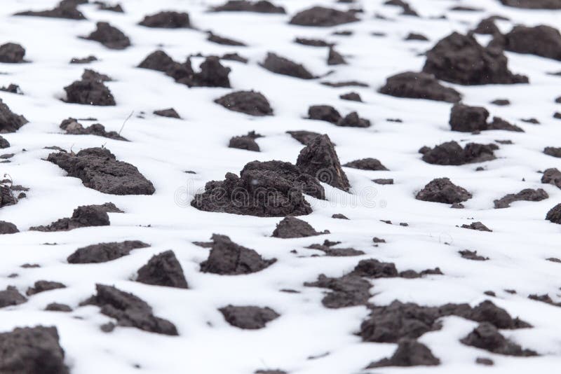 Black Soil in the Snow on the Nature Stock Image - Image of closeup ...