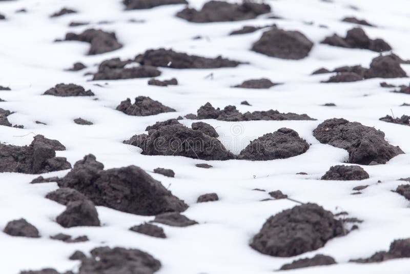Black Soil in the Snow on the Nature Stock Photo - Image of nature ...