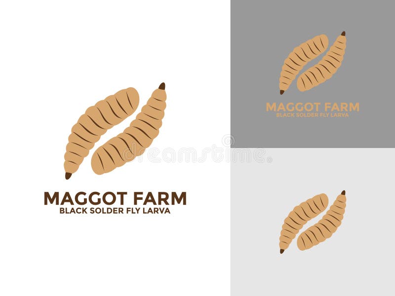 Black Solder Fly Larva Farm Logo Vector, Maggot Farm , Larvae Farm Logo ...