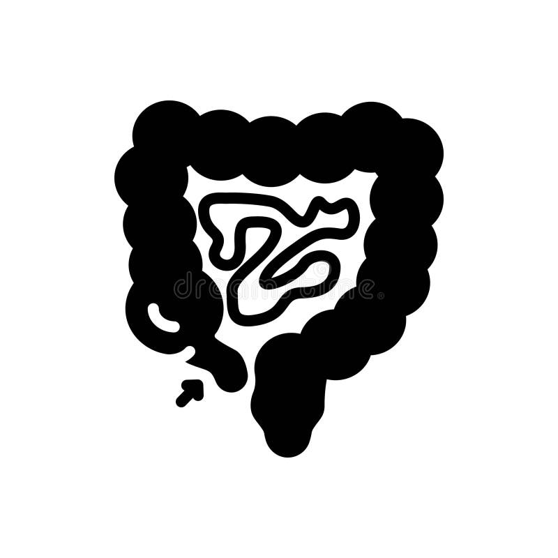 Black Solid Icon for Appendix, Intestine and System Stock Vector ...