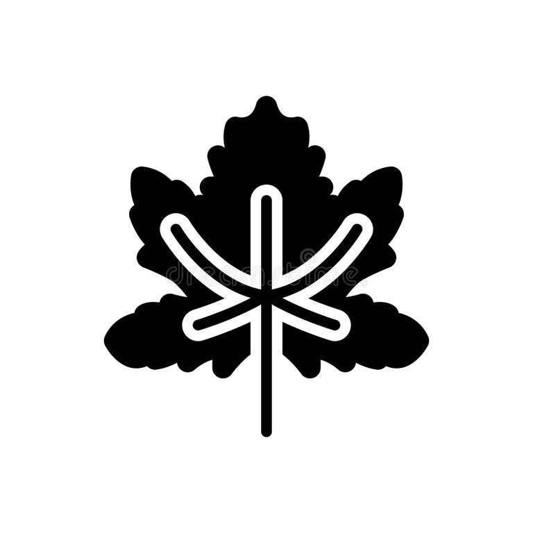 Maple Leaf Solid Icon Stock Illustrations – 475 Maple Leaf Solid Icon ...
