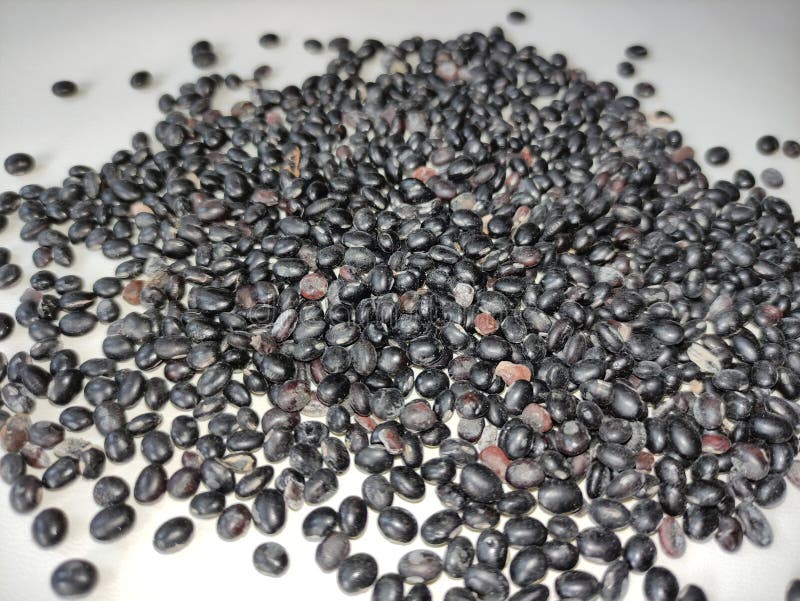 Black soybeans stock photo. Image of hitamblack, beans - 276420068