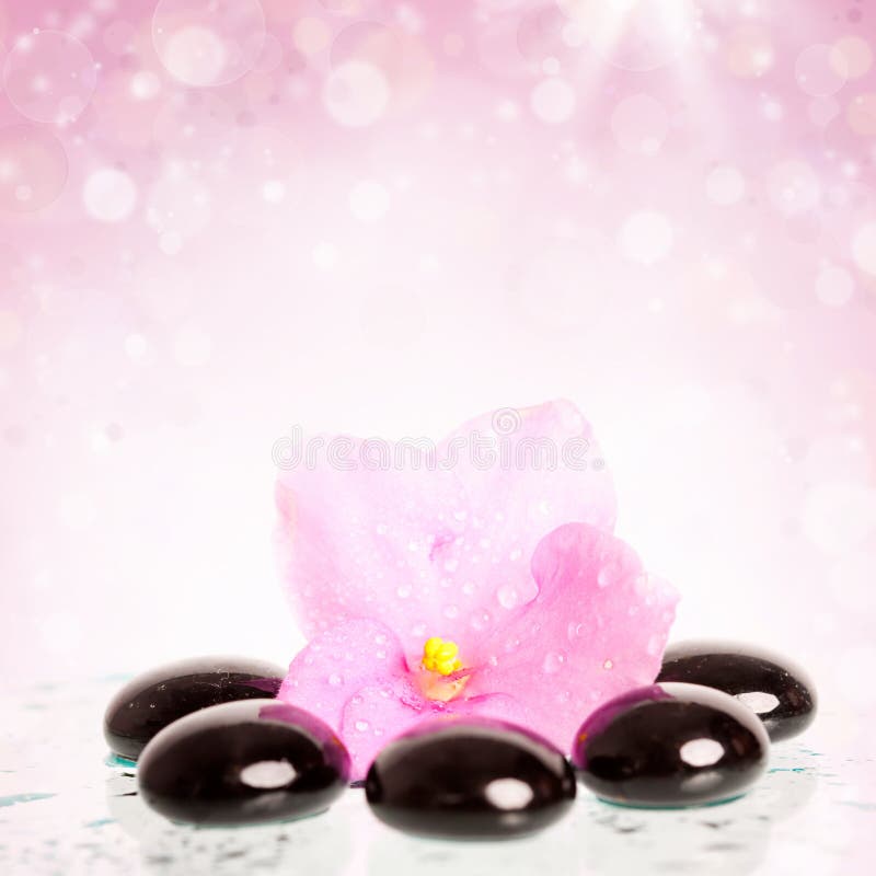 Black Spa Stones and Flower on Colorful Background Stock Image - Image ...