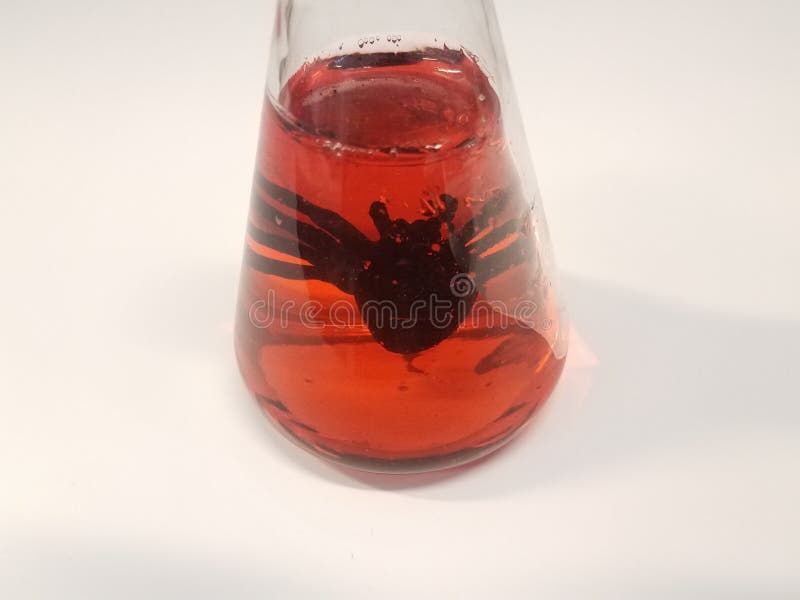 Black Spider in Red Liquid in Glass Beaker or Vial Stock Photo - Image ...