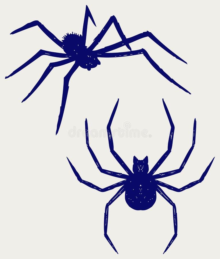 Spider Doodle Paper Texture Cut Out Halloween Stock Photo ...
