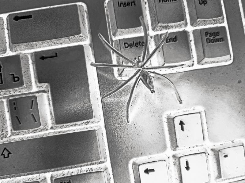 Black Spider on Black Keyboard. it Trouble Abstract Photo Stock Photo ...