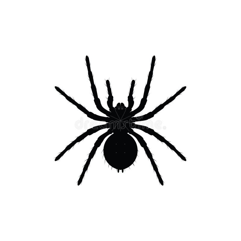 Black Spider Svg Black Spider Svg