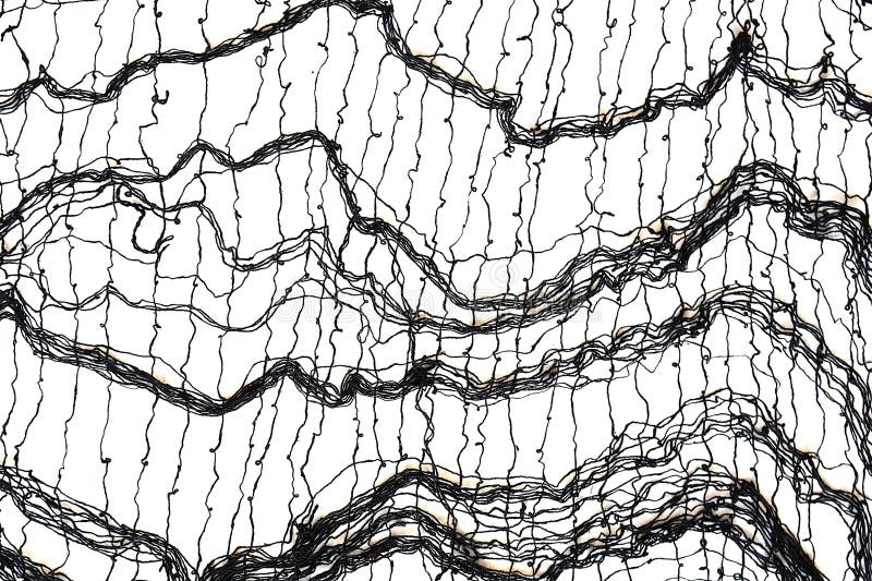 A Black Spider Web Net on a White Background. Textured Netting Fabric ...