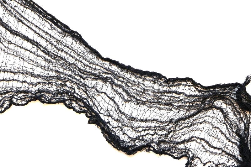 A Black Spider Web Net on a White Background. Textured Netting Fabric ...