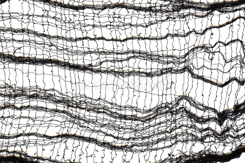 A Black Spider Web Net on a White Background. Textured Netting Fabric ...