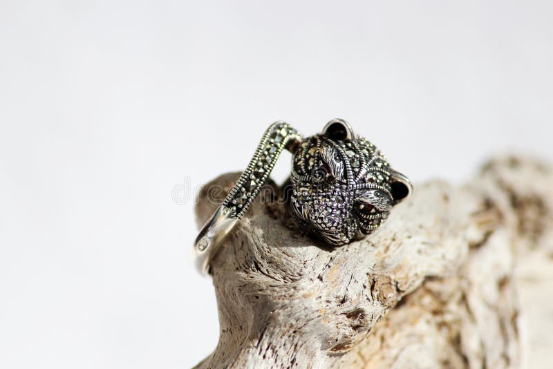 Black Spinel Diamond Silver Ring in the Form of a Cat S Head. Stock ...