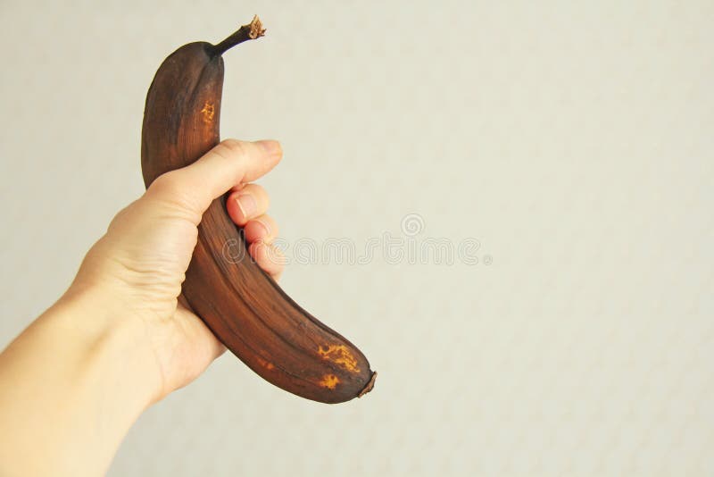 Black Spoiled Banana in Hand. a Hand is Holding a Rotten Black or Brown ... Black Spoiled Banana in Hand. a Hand is Holding a Rotten Black or Brown ...