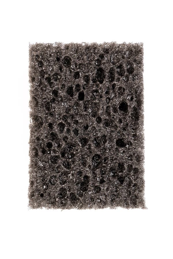 751 Smooth Rough Sponge Stock Photos - Free & Royalty-Free Stock Photos ...