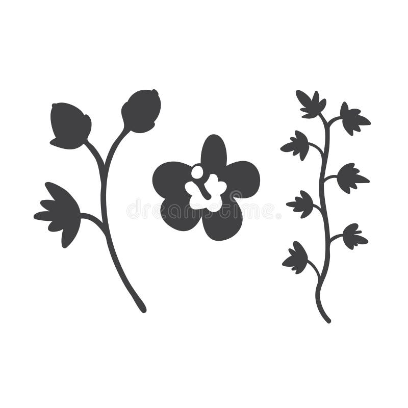 Black White Daisy Vine Stock Illustrations – 28 Black White Daisy Vine ...
