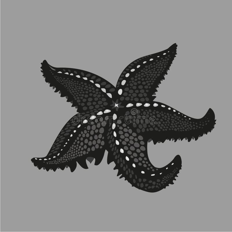 Black starfish icon stock vector. Illustration of star - 196957049
