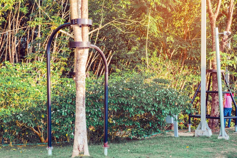 Black Steel Column Supports and Controls the Branches and Trunks of the ...