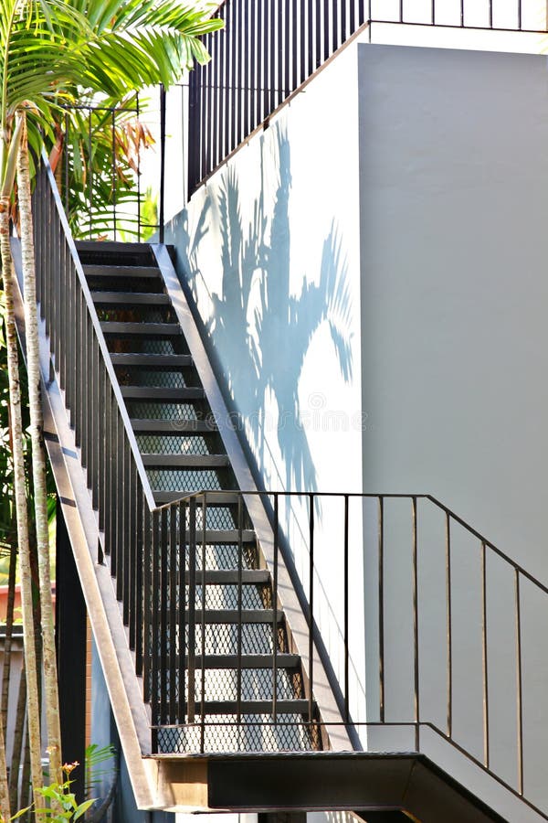 On a Black Steel Ladder Set Outdoors with Palm Tree Shadows on the ...