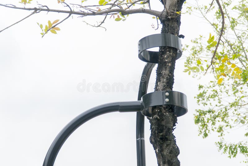 Black Steel Used Support To the Tree Stock Photo - Image of black ...