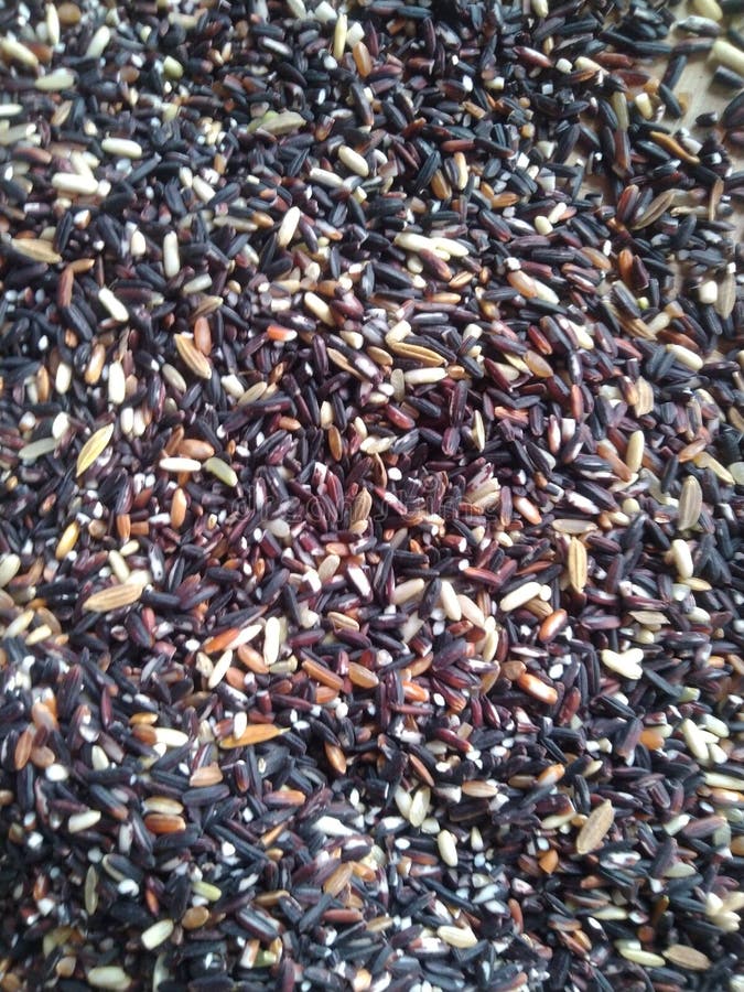 Black sticky rice stock image. Image of food, black - 270339721