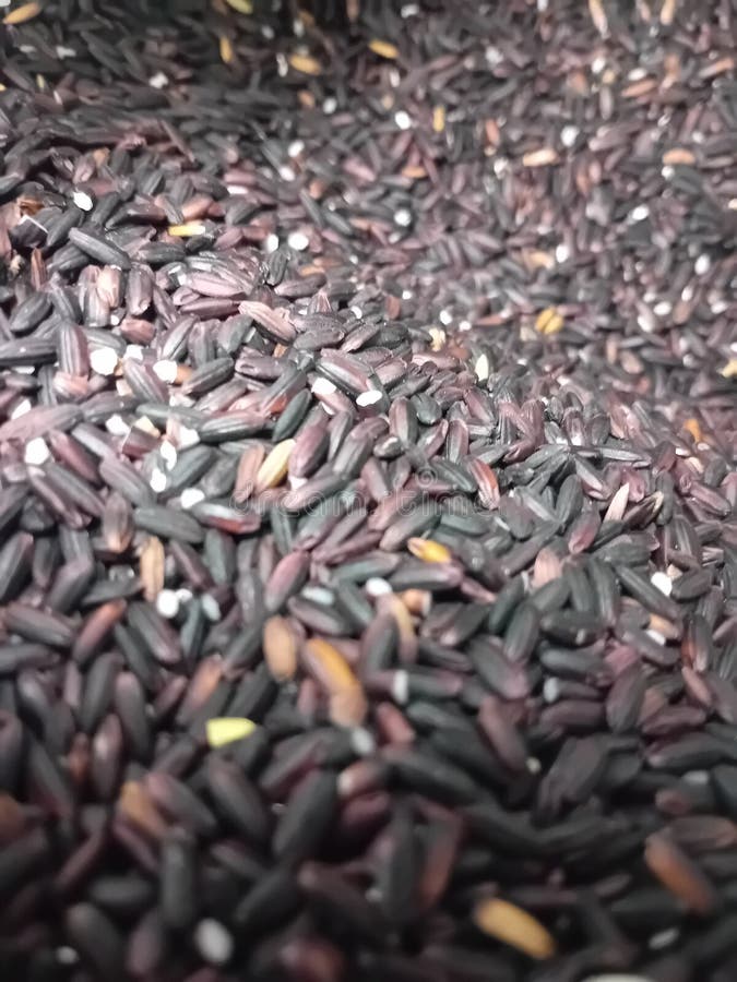Black Sticky Rice There White Stock Photos - Free & Royalty-Free Stock ...