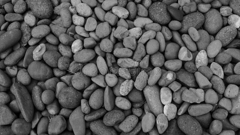 Black Stone Background. Shiny Black Lava Pebbles on the Beach Stock ...