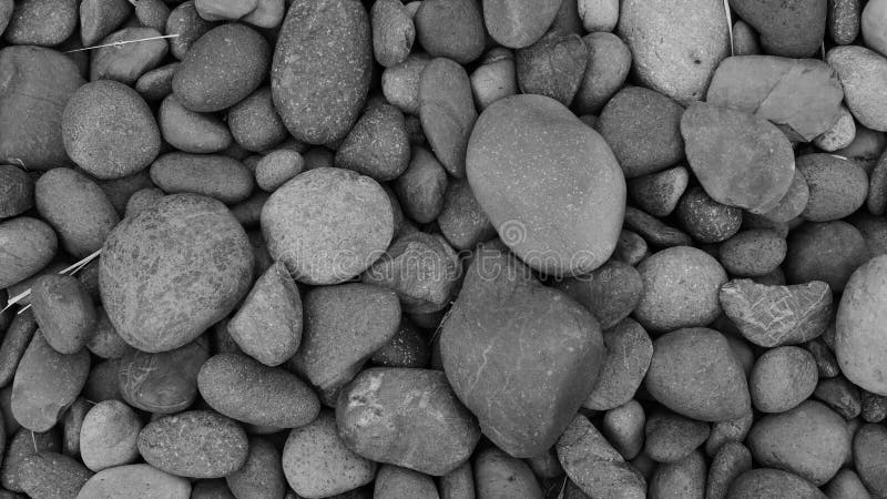Black Stone, Shiny Black Lava Pebbles on the Beach, Black Lava Pebble ...