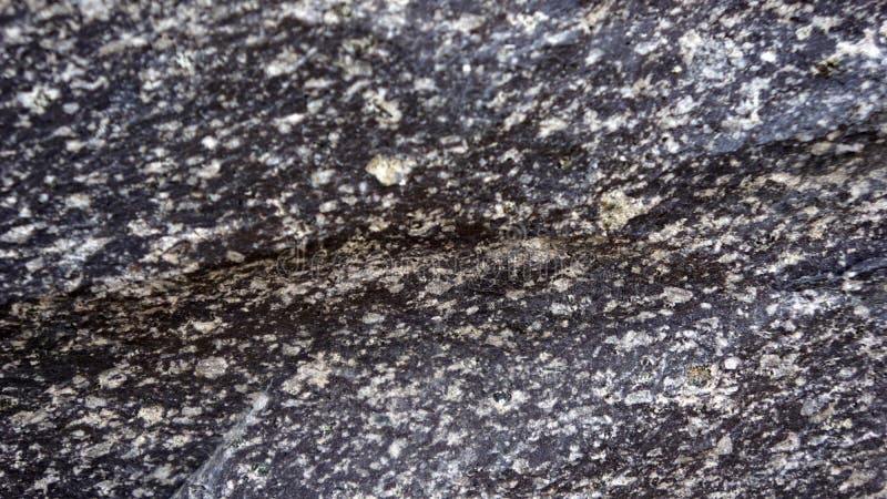 Black Stone with White Spots Texture Stock Photo - Image of background ...