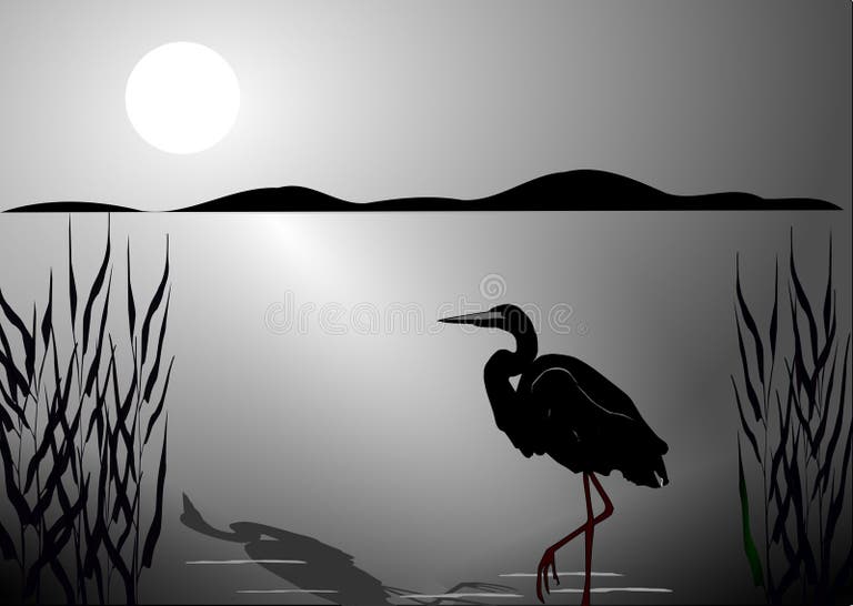 Black Stork Stock Illustrations – 5,581 Black Stork Stock Illustrations ...