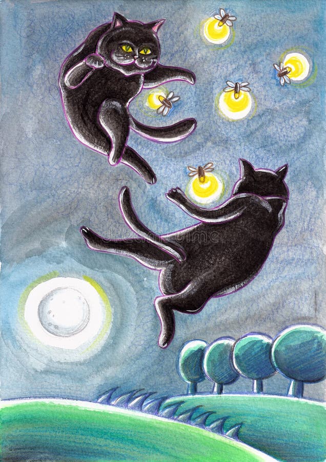 Black Stray Cats Chasing Fireflies Stock Illustration - Illustration of ...