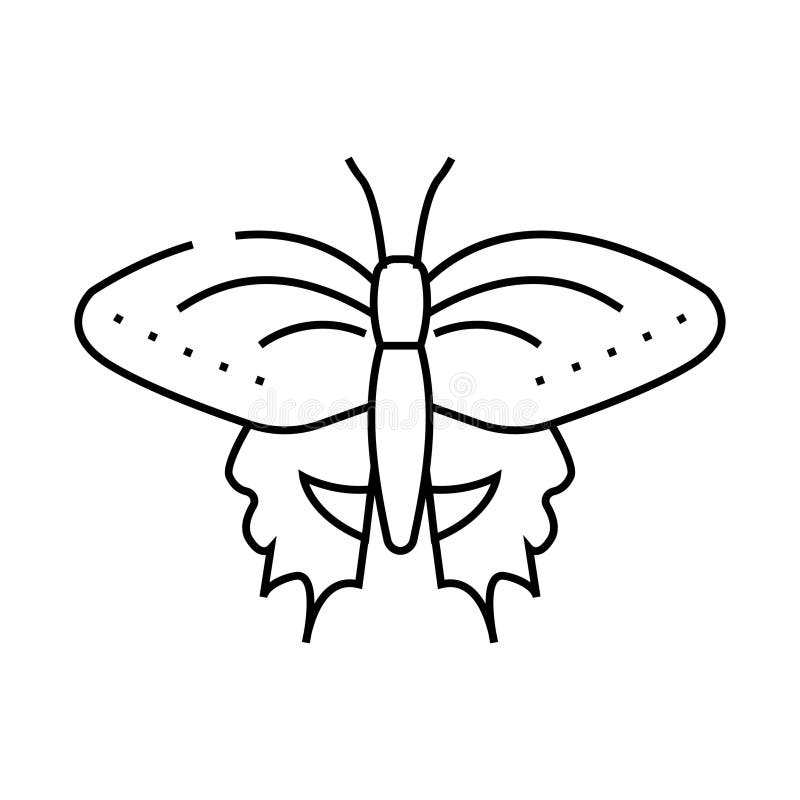 Black Swallowtail Spring Line Icon Vector Illustration Stock Vector ...