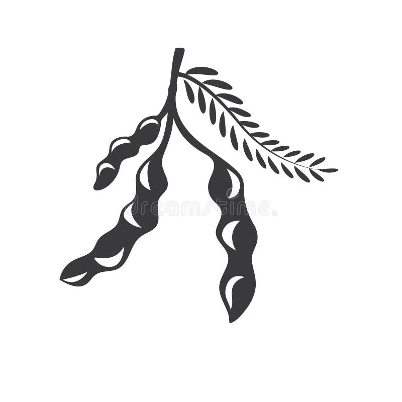 Black Tamarind Icon Vector Element Concept Design Template Stock Vector ...