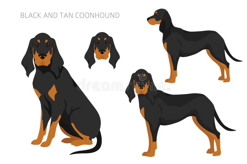 Black and Tan Coonhound Clipart. Different Coat Colors and Poses Set ...
