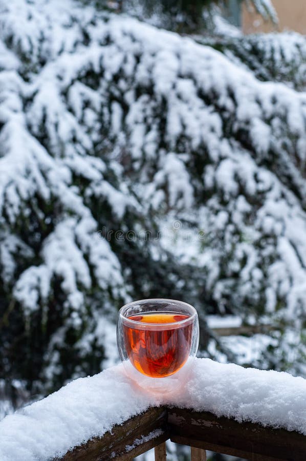 Black Tea in a Designer Glass Cup in Snow Stock Photo - Image of ...