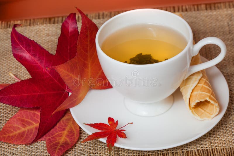 Fall cup of tea stock photo. Image of beautiful, autumn - 16350712