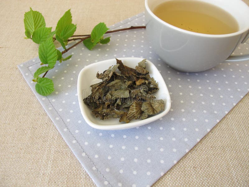 Black Tea with Fermented Hazel Leaves Stock Image - Image of leaves ...