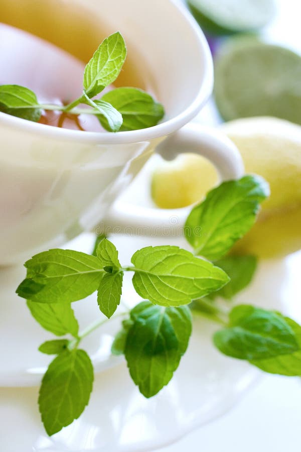 Black Tea with a Fresh Lemon and Mint Stock Photo - Image of peppermint ...