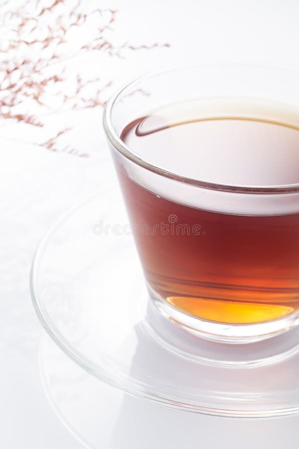 Black Tea in a Glass Cup on a White Background Stock Photo - Image of ...