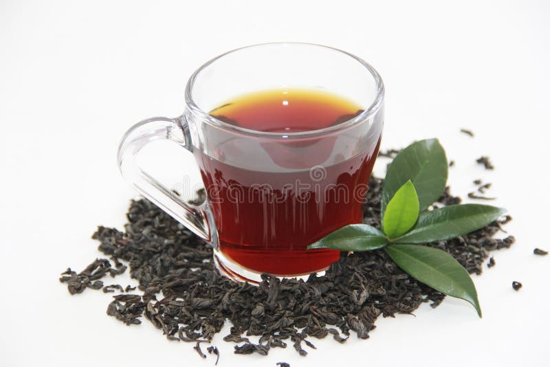 Black tea in a glass mug stock photo. Image of morning - 229174990