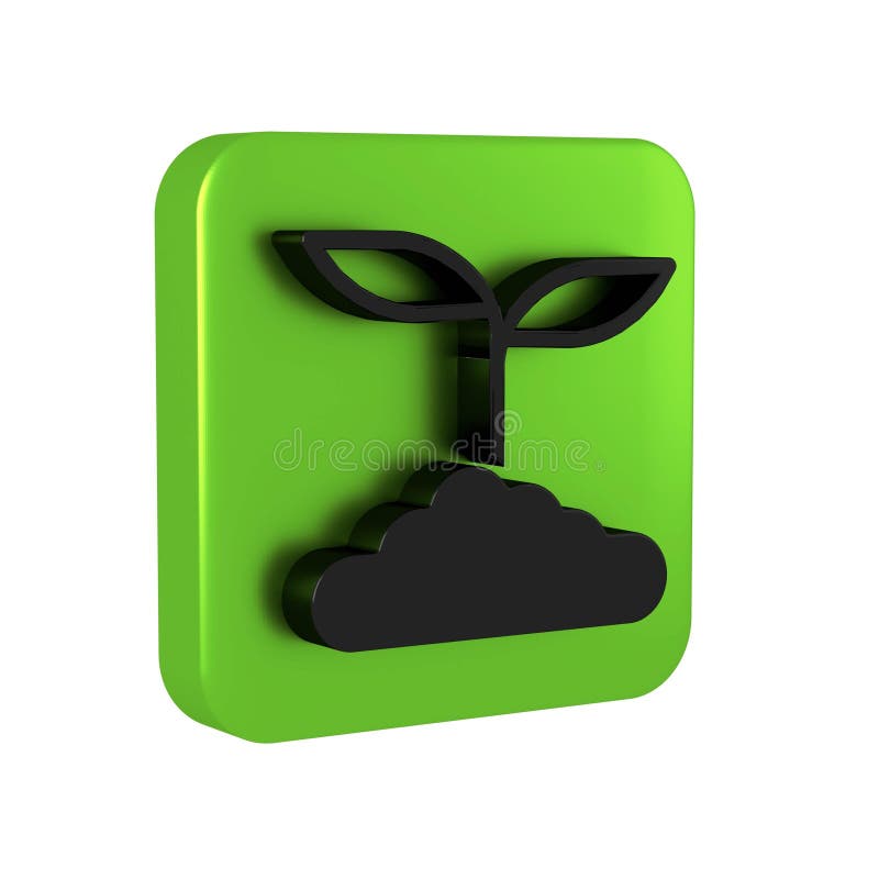 Black Tea Leaf Icon Isolated on Transparent Background. Tea Leaves ...