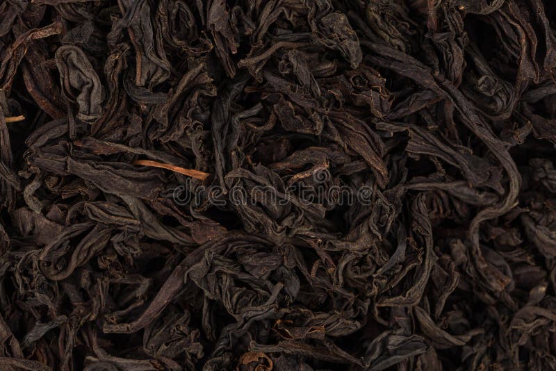 Black tea leaves close up stock photo. Image of background - 269191772